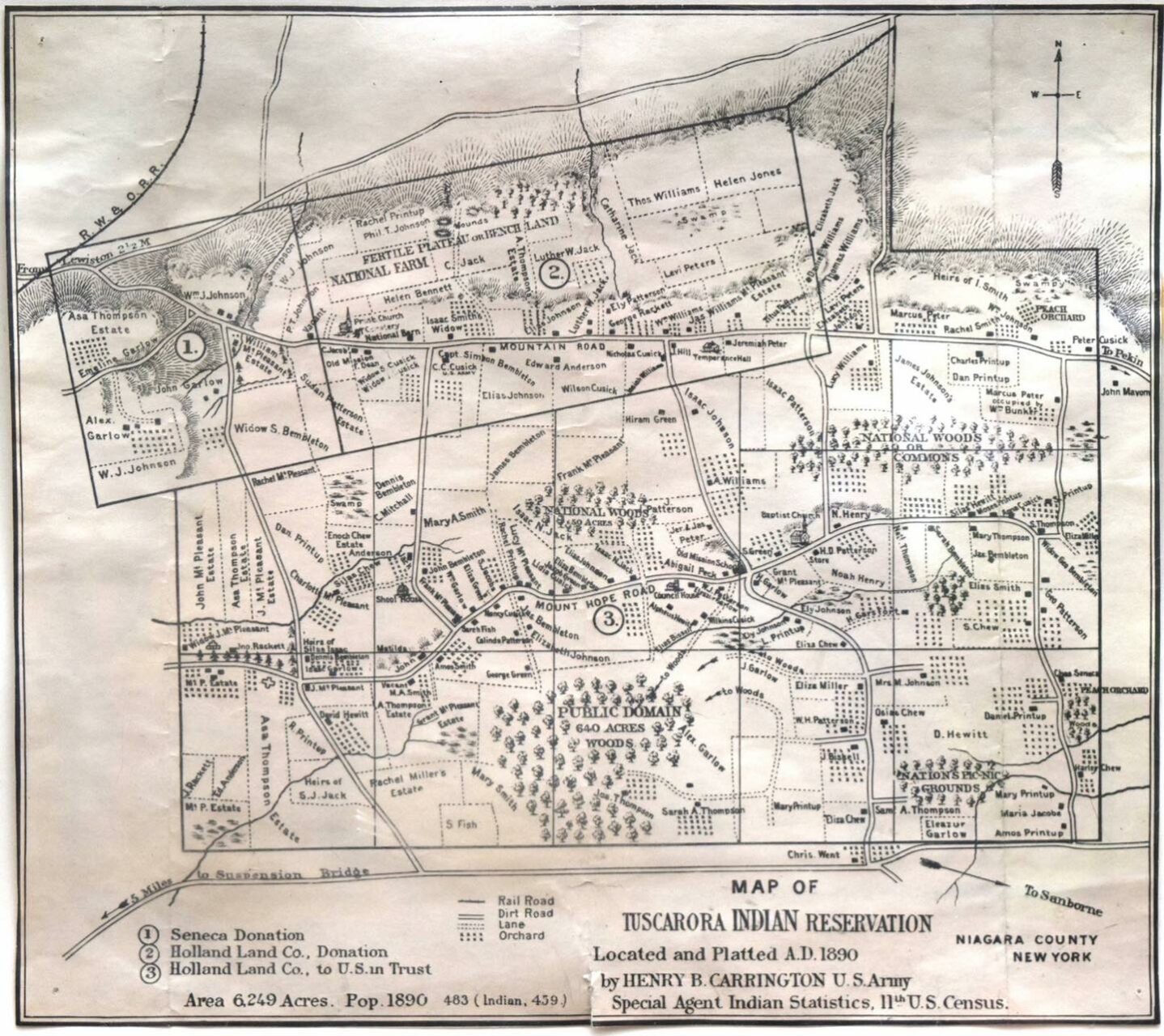 Meherrin given shelter beneath the branches of the The Great Tree of ...