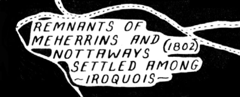 Meherrin given shelter beneath the branches of the The Great Tree of ...